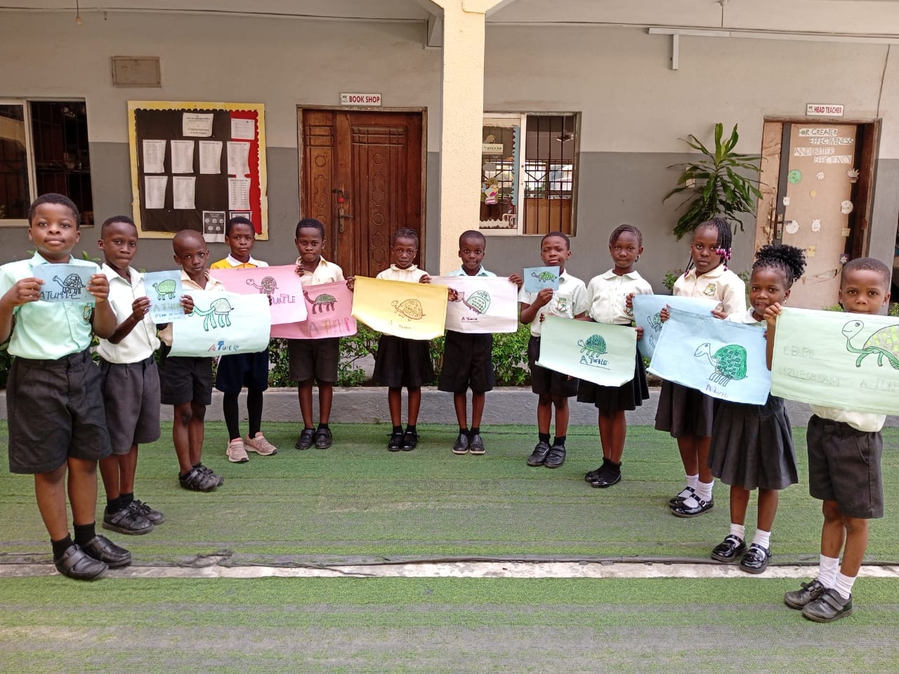 Kith & Kin Nursery, Primary Schools Celebrate 2024 World Turtle Day